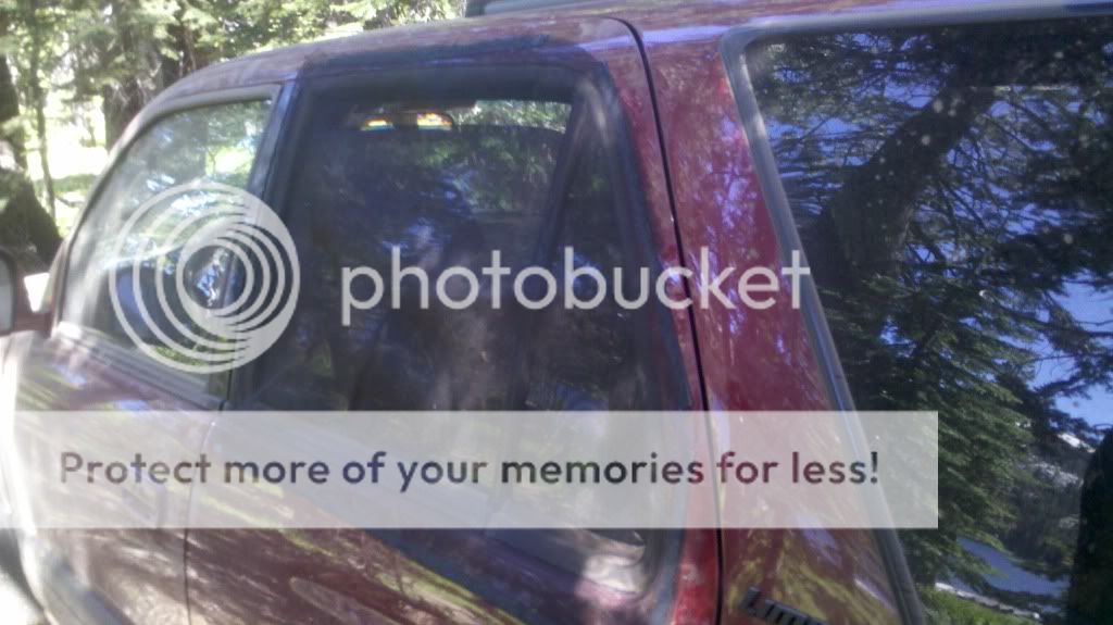 Window Mesh/Screen - Toyota 4Runner Forum - Largest 4Runner Forum