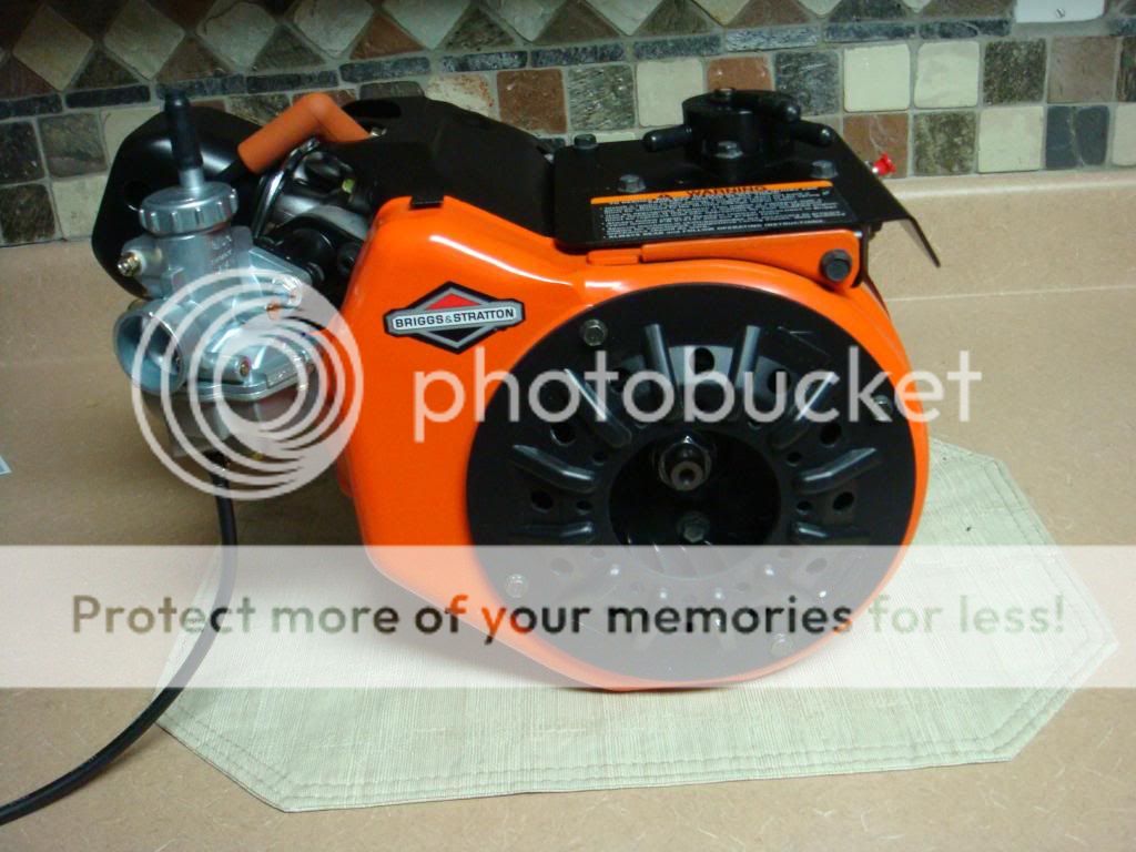 Briggs Animal pictures | OldMiniBikes.com