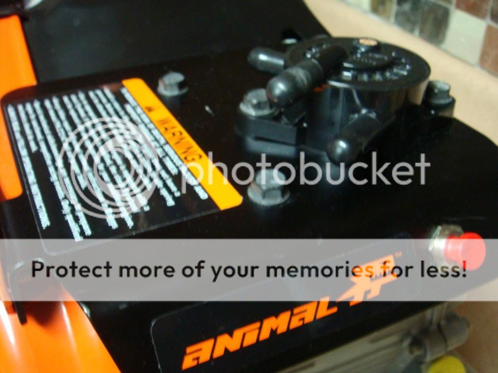 Briggs Animal pictures | OldMiniBikes.com