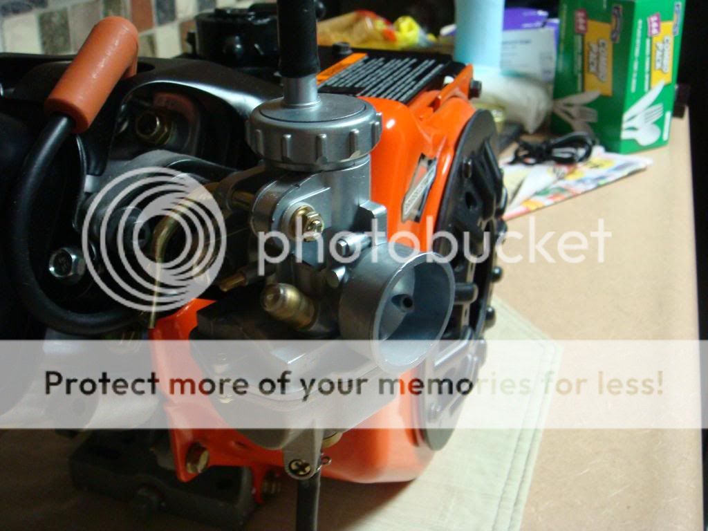 Briggs Animal pictures | OldMiniBikes.com