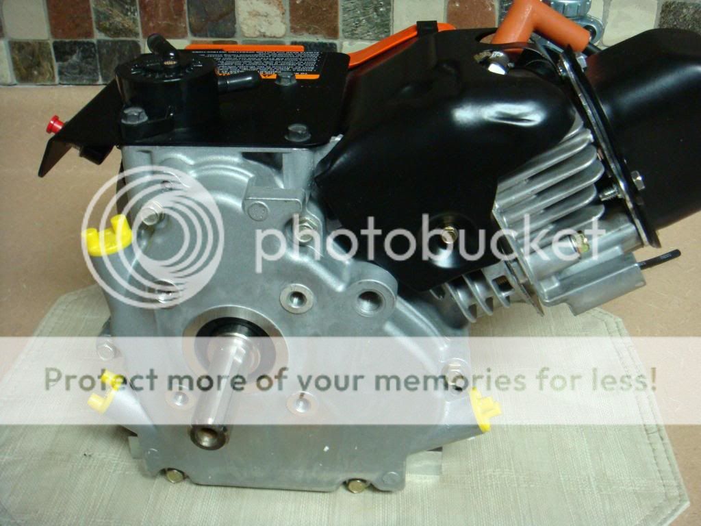 Briggs Animal pictures | OldMiniBikes.com